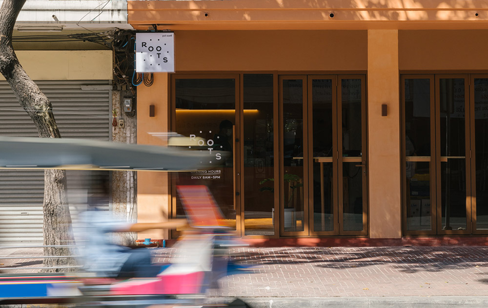 Roots at Pratu Phee | Roots